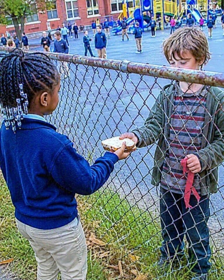 He Came Back Worth Millions for the Girl Who Fed Him Through a Fence ...